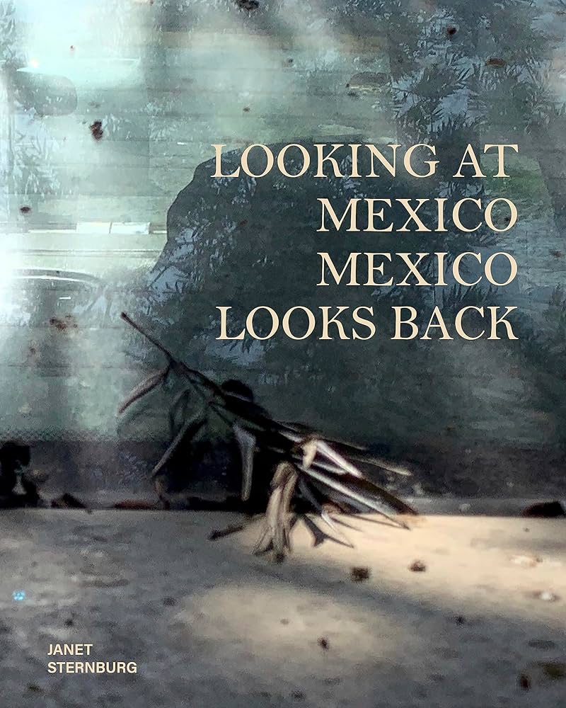 Looking At Mexico/Mexico Looks Back By Janet Sternburg with Comments by ...